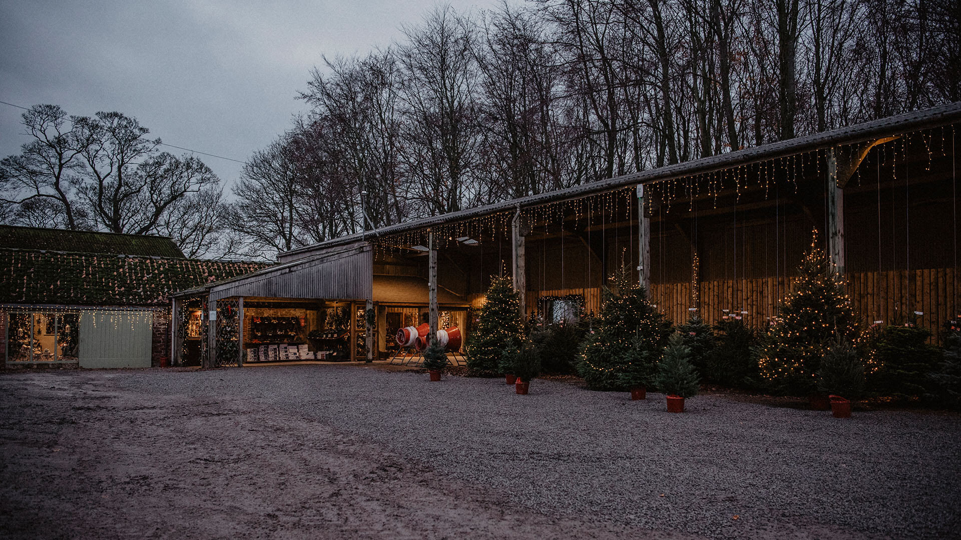 Our Shop - Shop Gallery - Croft Christmas Trees